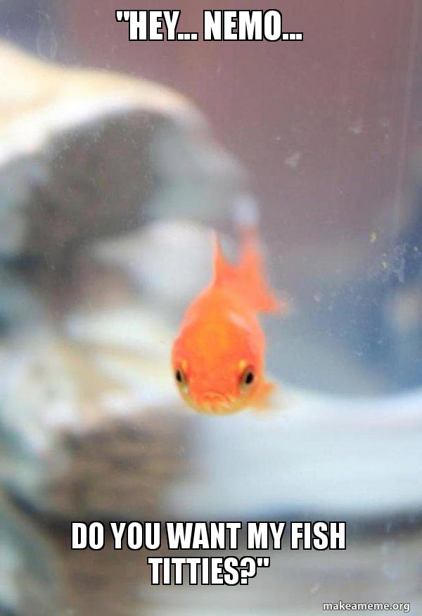 "Hey... Nemo... Do you want my Fish titties?" - Grumpy Fish Meme Generator