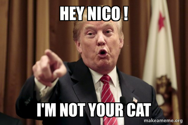 hey nico ! i'm not your cat - Donald Trump Says Meme Generator