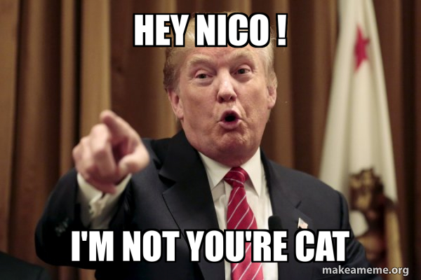 Hey nico ! I'm not you're cat - Donald Trump Says Meme Generator
