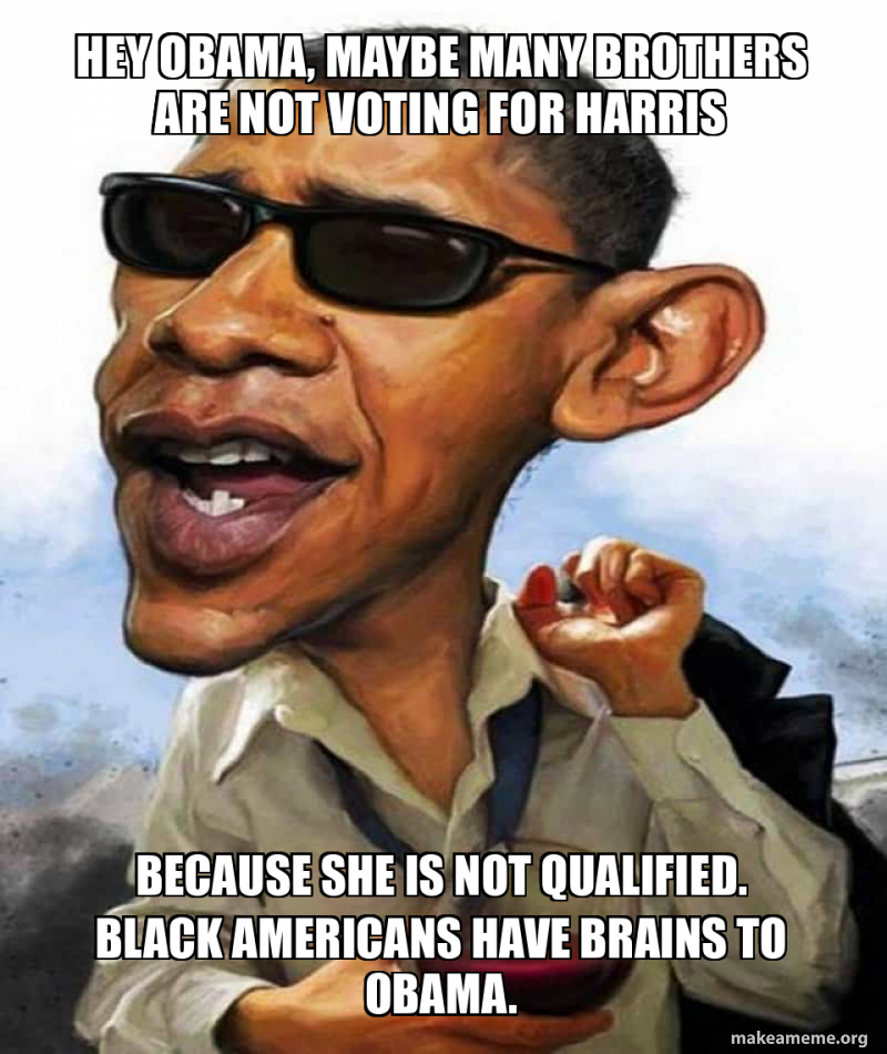 HEY OBAMA, MAYBE MANY BROTHERS ARE NOT VOTING FOR HARRIS BECAUSE SHE IS ...