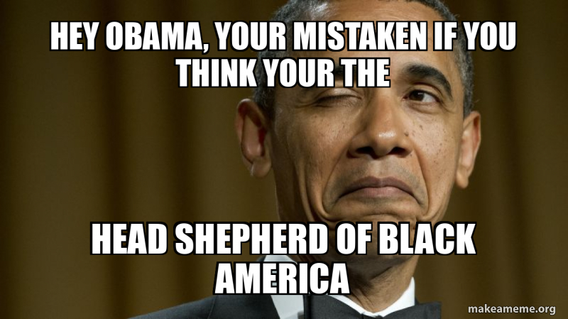 HEY OBAMA, YOUR MISTAKEN IF YOU THINK YOUR THE HEAD SHEPHERD OF BLACK ...