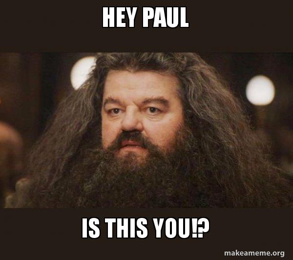 Hey paul Is this you!? - Hagrid - I should not have said that Meme ...
