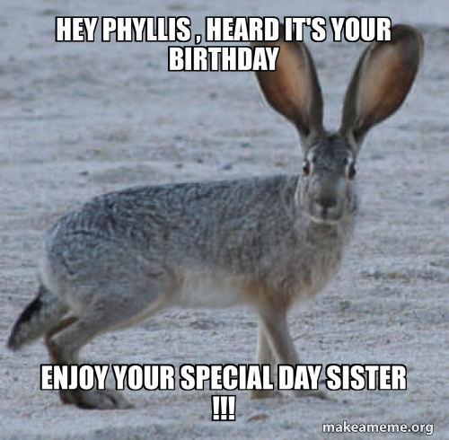 Hey phyllis , heard it's your birthday enjoy your special day sister ...