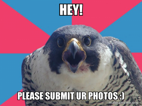 HEY! PLEASE SUBMIT UR PHOTOS :) - Millennial Falcon Meme Generator