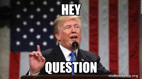 Hey Question - Donald Trump Meme Generator
