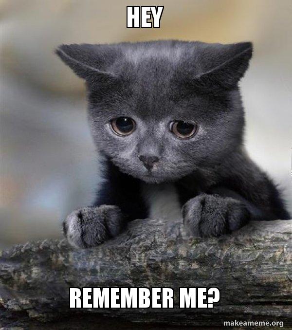 Hey Remember me? - Confession Cat Meme Generator