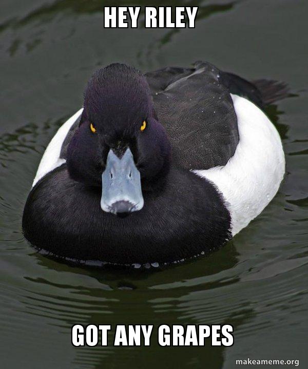 Hey Riley Got any grapes - Revenge Duck ( Angry Advice Duck ) Meme ...
