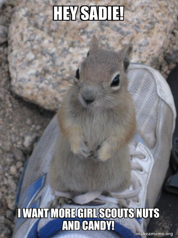 Hey Sadie! I want more Girl Scouts nuts and candy! - Standover Squirrel ...