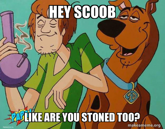 Hey scoob like are you stoned too? Meme Generator