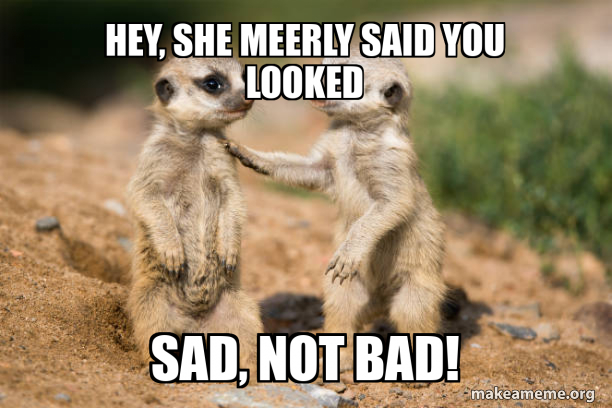 hey, she meerly said you looked sad, not bad! Meme Generator