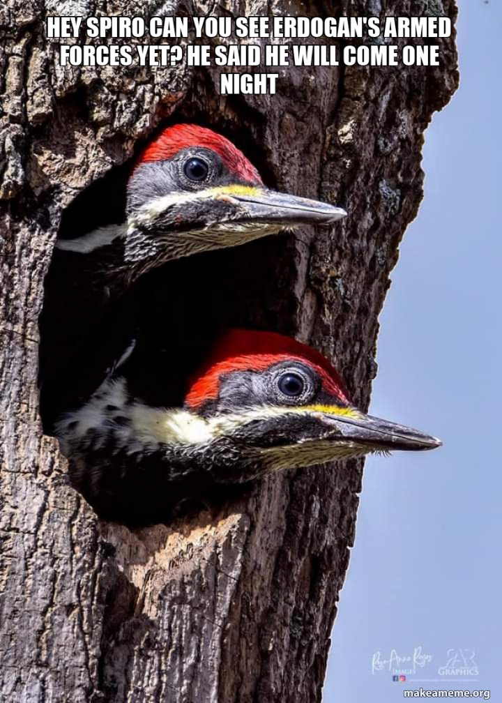 hey Spiro can you see Erdogan's Armed forces yet? He said he will come ...