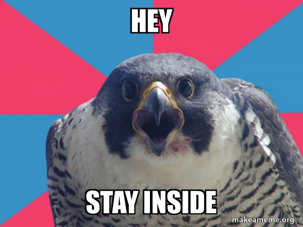 hey stay inside - Millennial Falcon Meme Generator