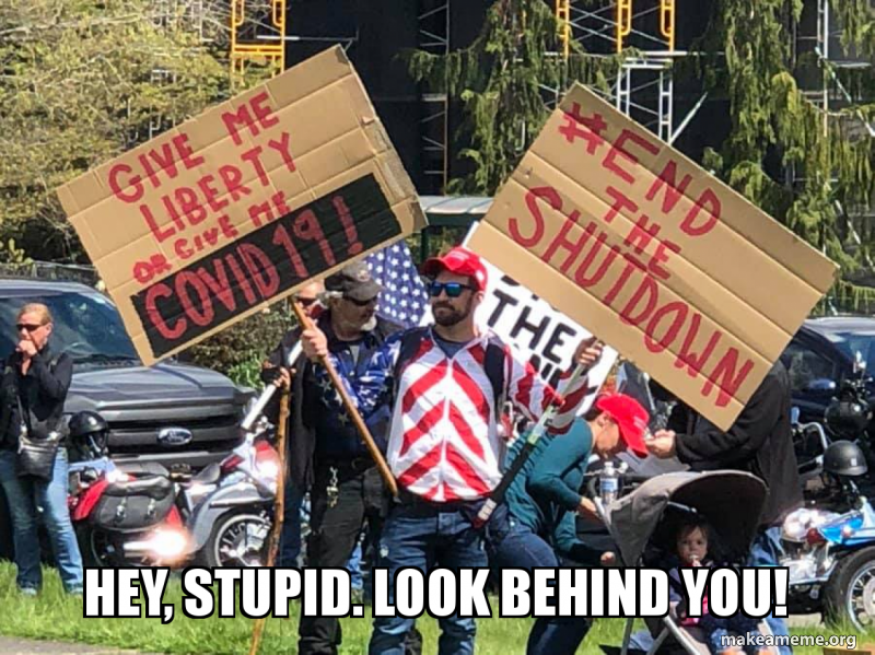 Hey, stupid. Look behind You! Meme Generator