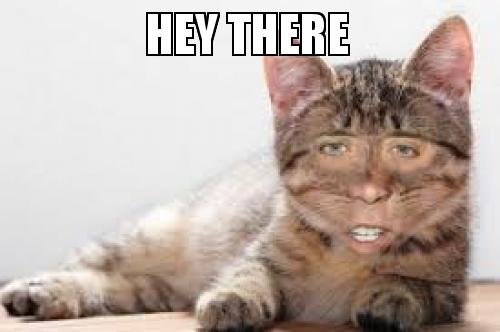 hey there Meme Generator