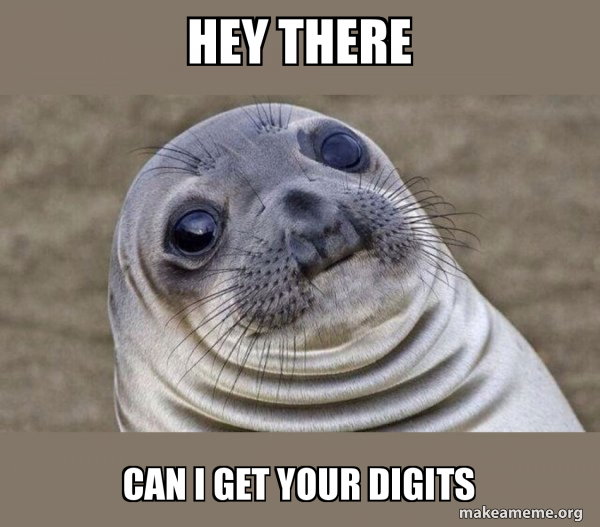 Hey there can i get your digits - Squeamish Seal Meme Generator