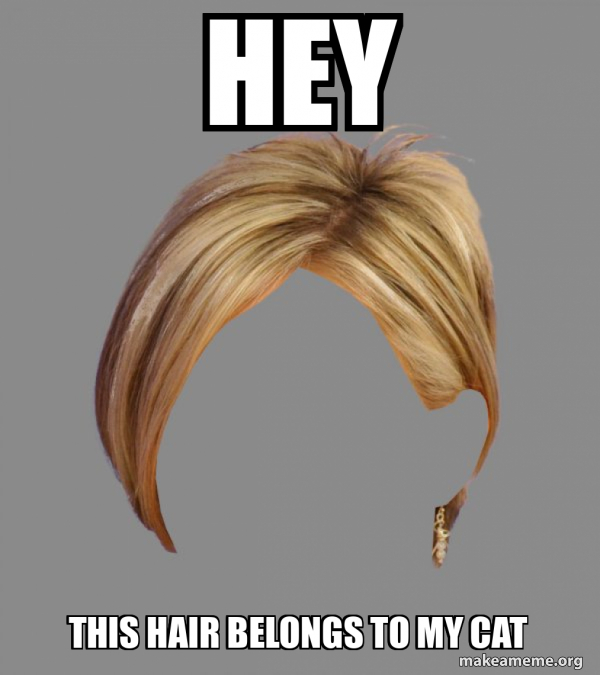 Hey This hair belongs to my cat - The Karen Hair Meme Generator
