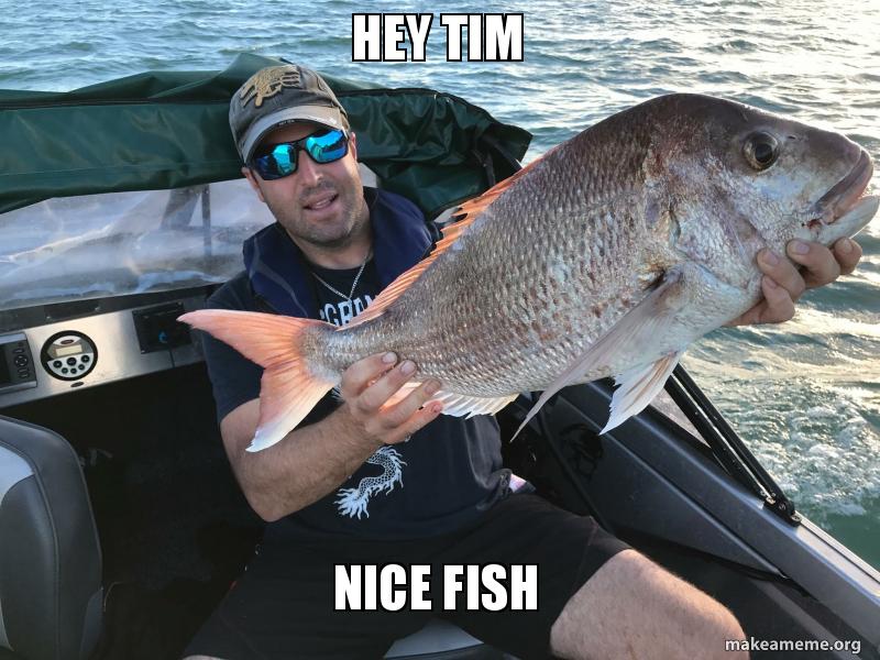 Hey Tim Nice fish Meme Generator
