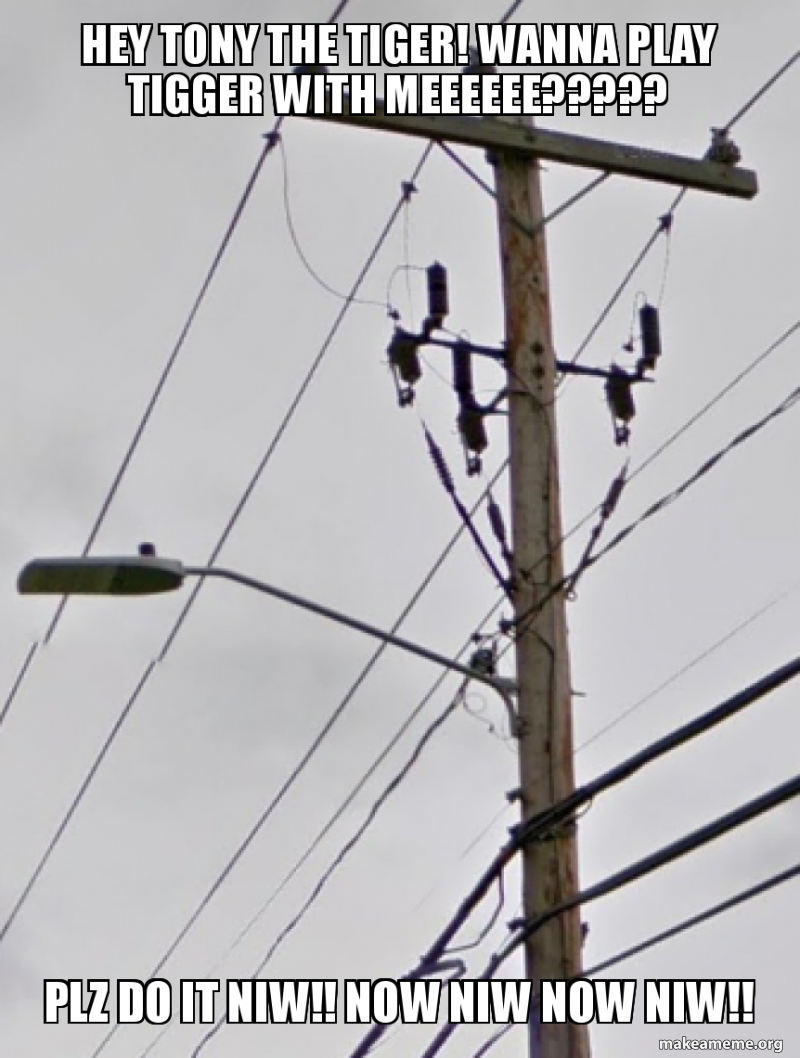 Hey Tony the Tiger! Wanna play Tigger with meeeeee????? PLZ Do it niw ...