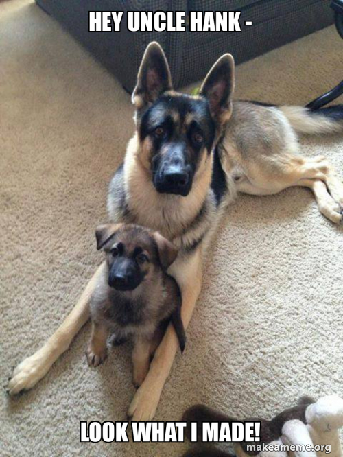 HEY UNCLE HANK - LOOK WHAT I MADE! Meme Generator