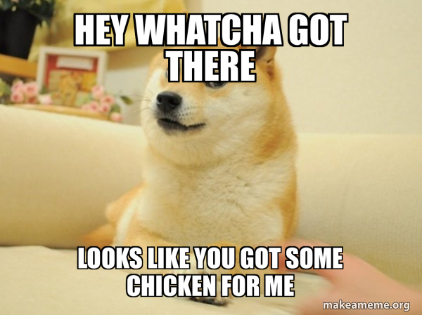 hey whatcha got there looks like you got some chicken for me - Doge ...
