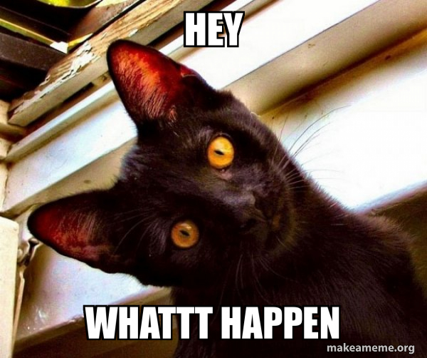 Hey WHATTT HAPPEN - Overly Attached Cat Meme Generator