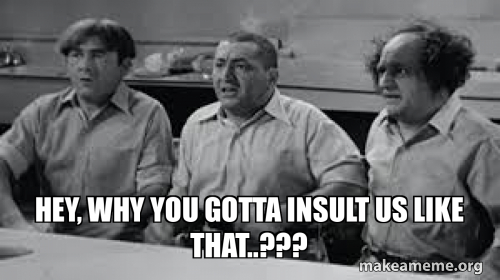 hey, why you gotta insult us like that..??? | Make a Meme