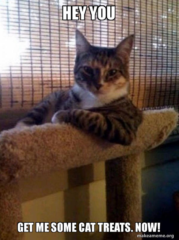 Hey You Get me some cat treats. NOW! - The Most Interesting Cat in the ...