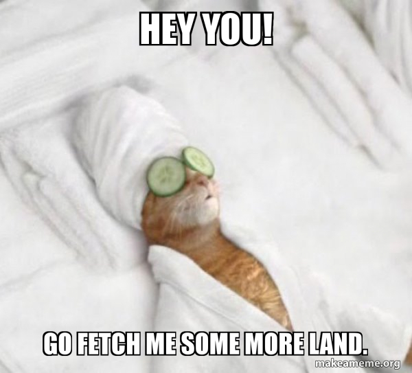 Hey you! Go fetch me some more land. - Pampered Cat Meme Meme Generator