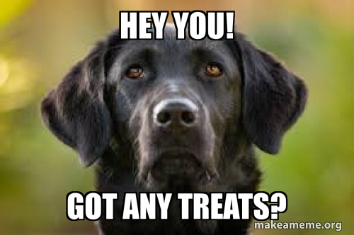 hey you! got any treats? Meme Generator