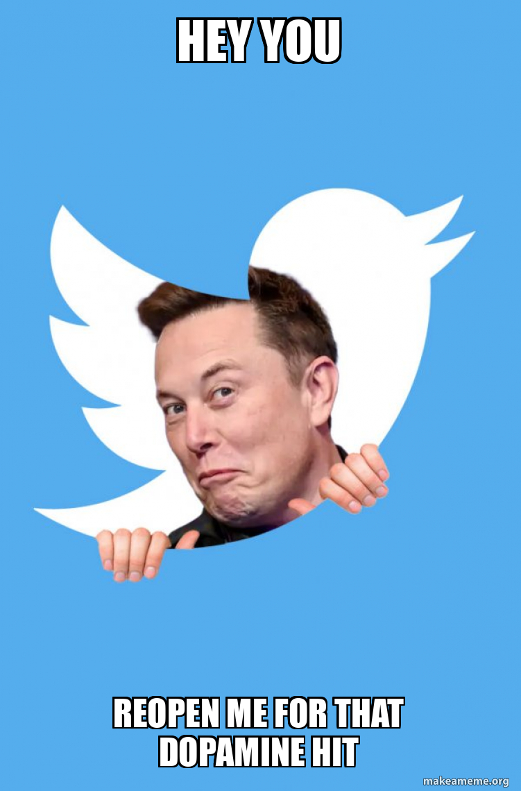 Hey you reopen me for that dopamine hit - Elon Musk Twitter Meme Generator