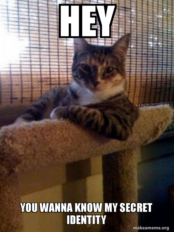 Hey You wanna know my secret identity - The Most Interesting Cat in the ...