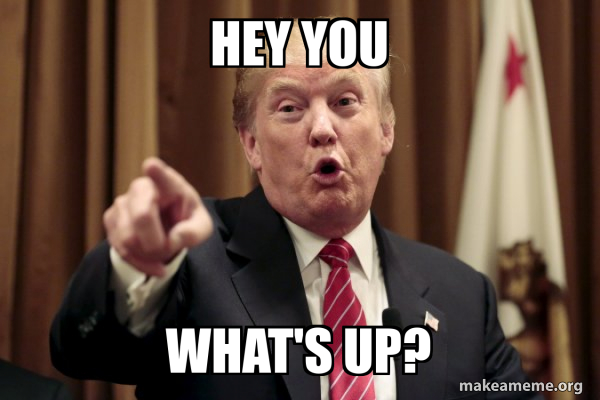 HEY YOU WHAT'S UP? - Donald Trump Says Meme Generator