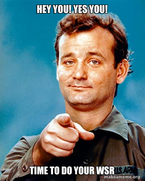 Hey you! Yes you! Time to do your WSR Meme Generator