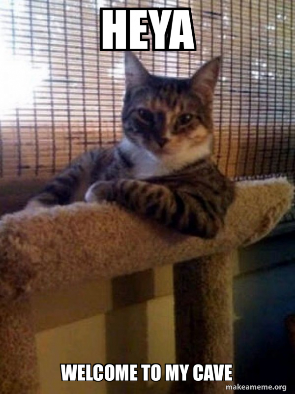 Heya Welcome to my cave - The Most Interesting Cat in the World Meme ...
