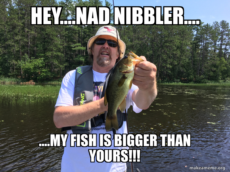 HEY....NAD NIBBLER.... â€¦.MY FISH IS BIGGER THAN YOURS!!! Meme Generator