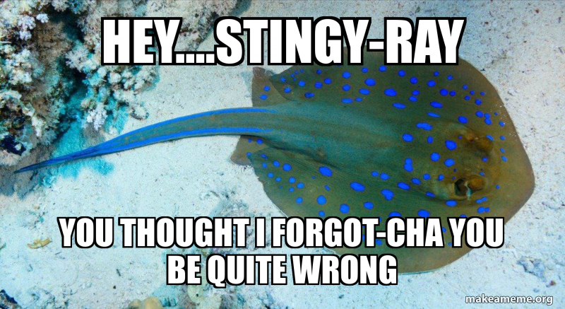 Hey….STINGY-RAY You Thought i forgoT-cha You be quite wrong Meme Generator
