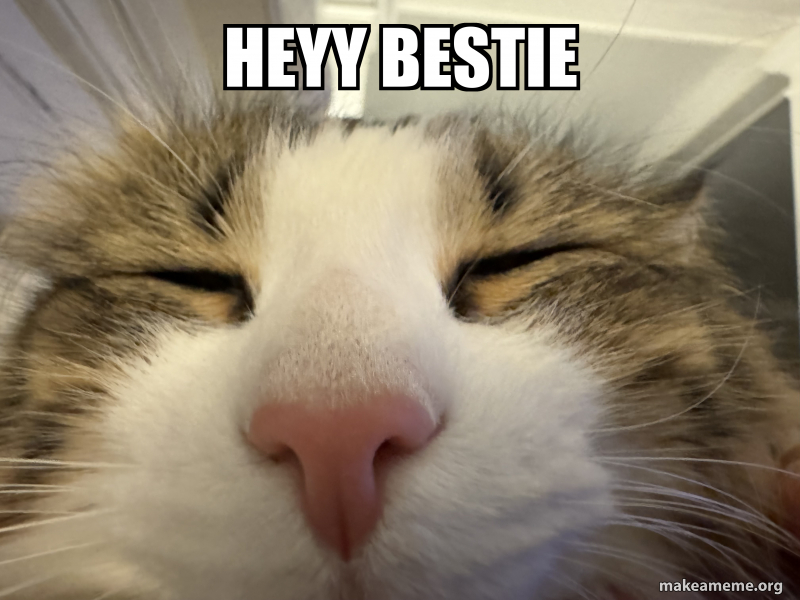 HEYY BESTIE Meme Generator