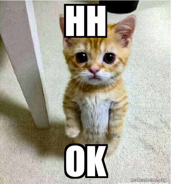 Hh Ok - Cute Cat Standing Meme Generator