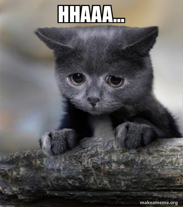 Hhaaa… - Confession Cat Meme Generator