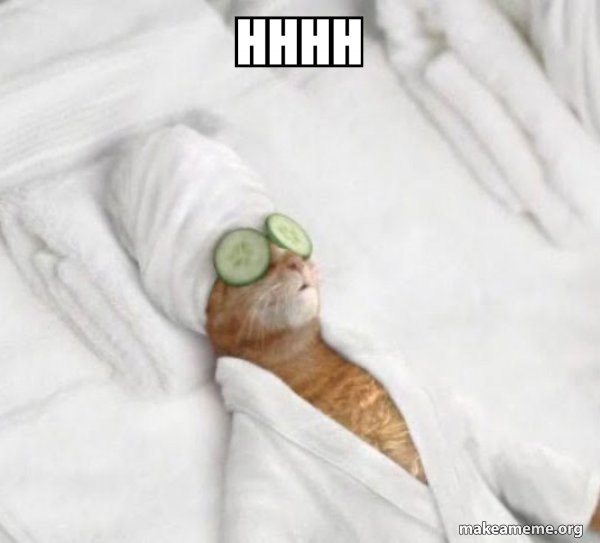 hhhh - Pampered Cat Meme Meme Generator