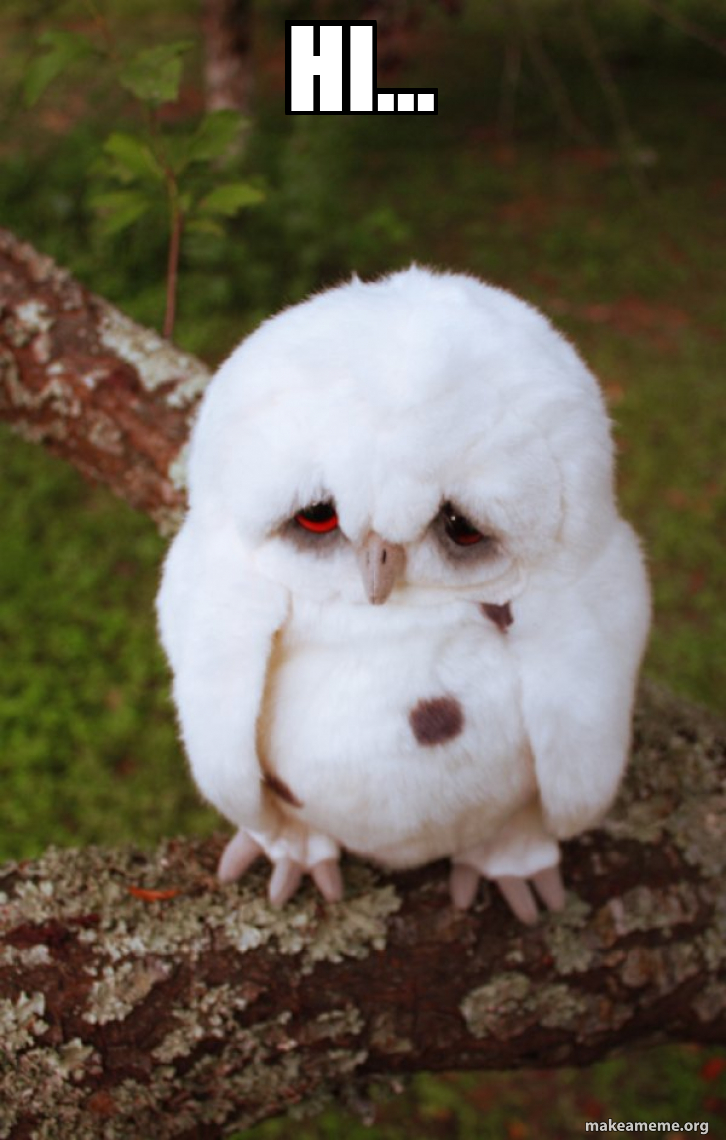 Hi... - Sad Owl Meme Generator