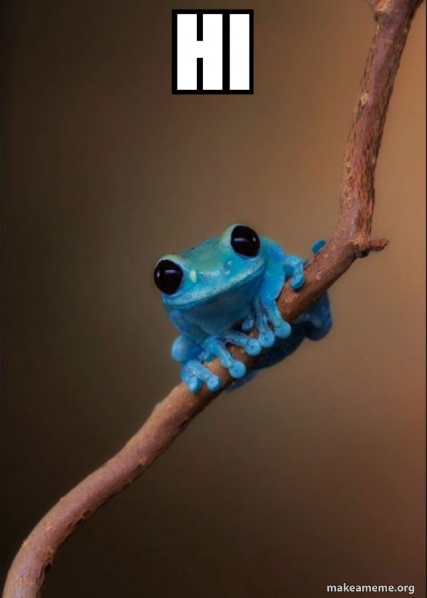 hi - Small Fact Frog Meme Generator