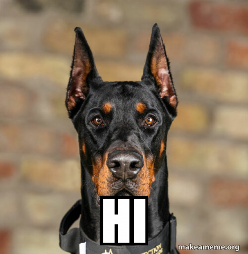 Hi Meme Generator