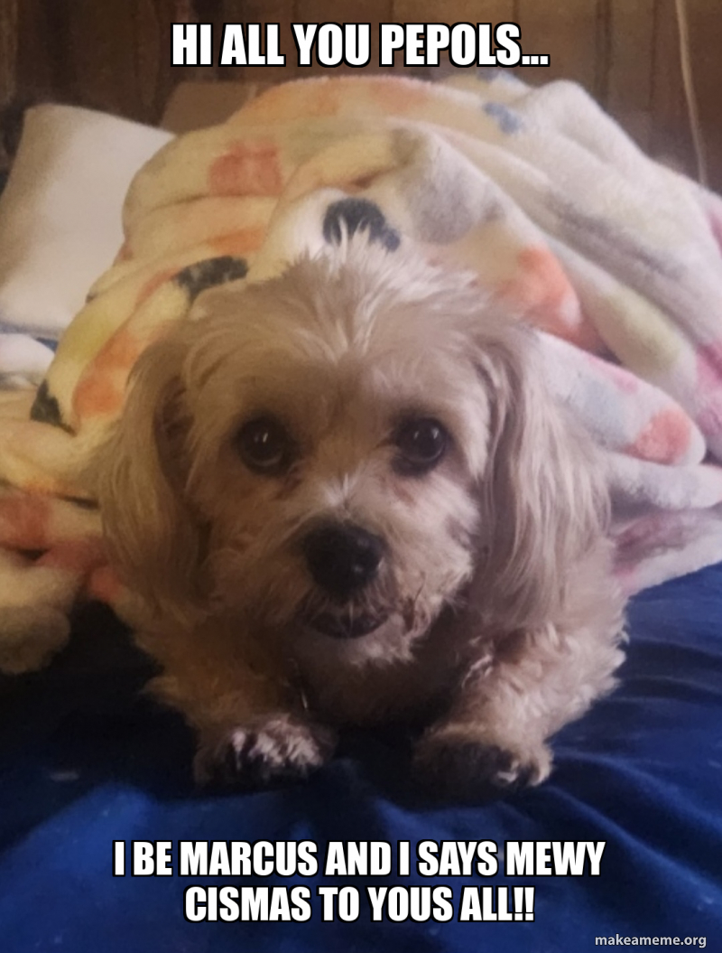 Hi all you pepols... I be Marcus and I says mewy cismas to yous all ...