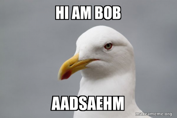 HI AM BOB AADSAEHM - Stuff That Didn't Happen Seagull Meme Generator