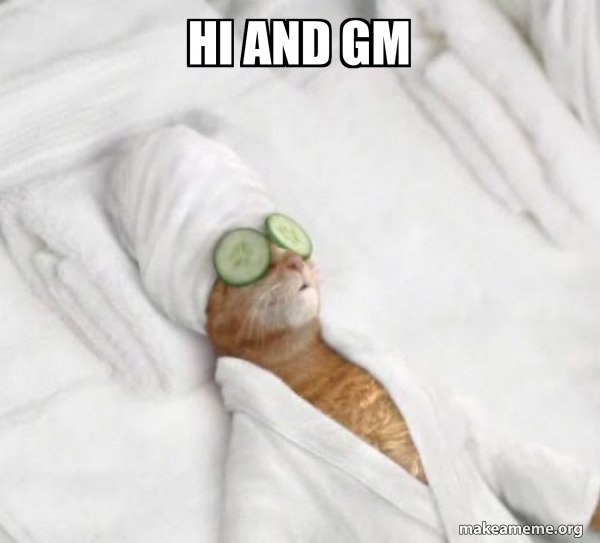 Hi and GM - Pampered Cat Meme Meme Generator