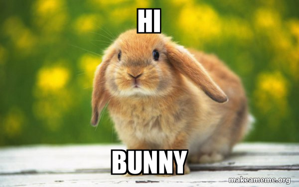 hi bunny - Regretful Rabbit Meme Generator