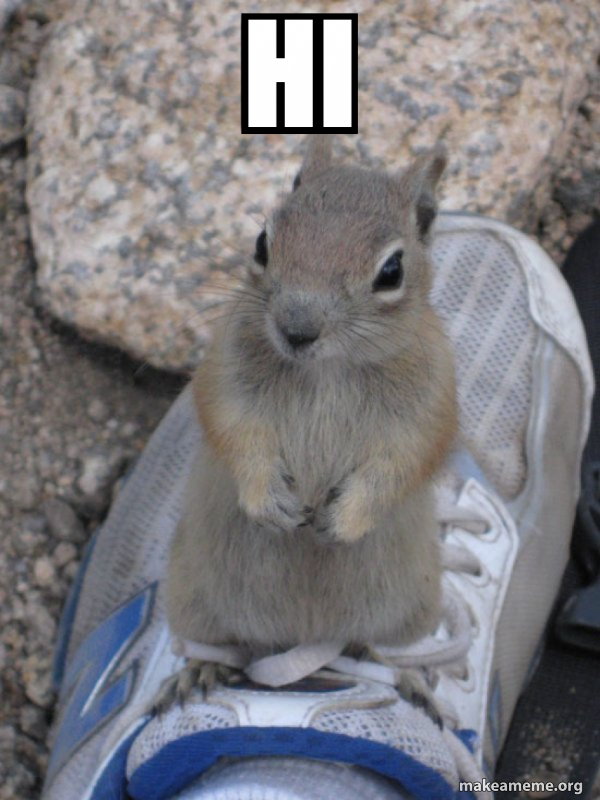 Hi - Standover Squirrel Meme Generator