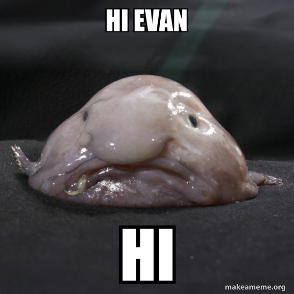 Hi Evan HI - Blobfish Meme Generator