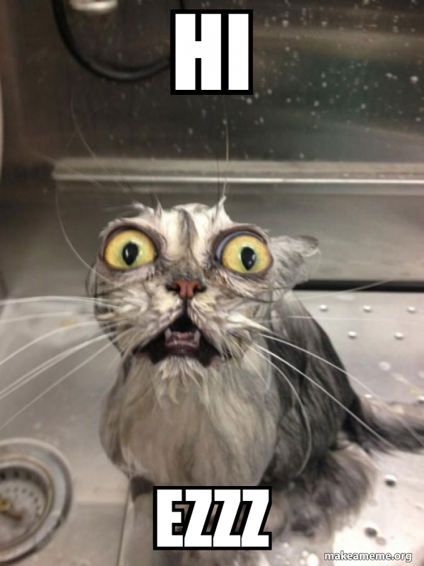 hi ezzz - Cat bath Meme Generator
